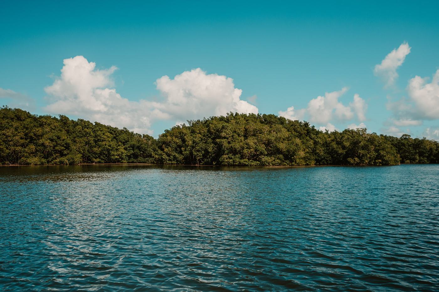 Précautions et sécurité | Blue Lagoon Excursion
