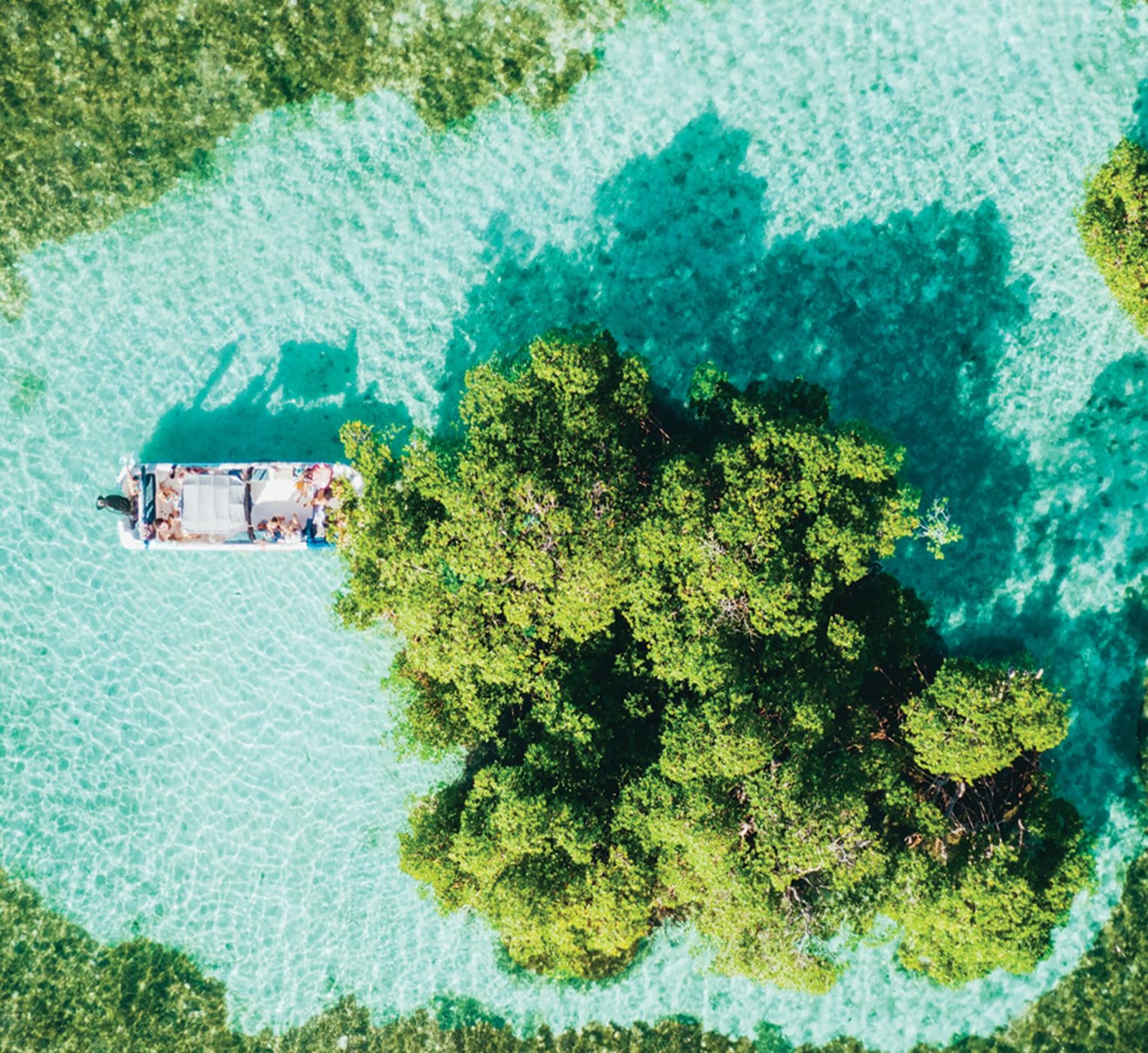 Blue Lagoon Excursion | Excursion en bateau en Guadeloupe
